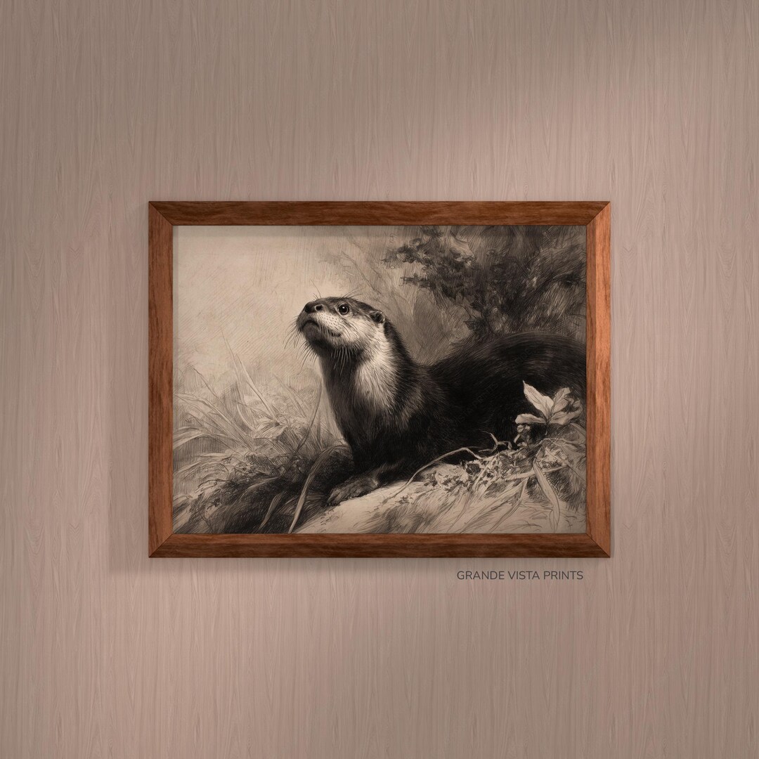 Dibujo imprimible de nutria, dibujo vintage de animal del bosque ...