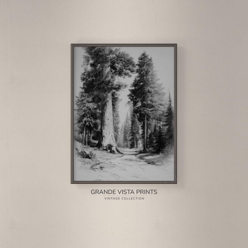 Printable Forest Landscape Drawing, High Resolution Printable Landscape ...