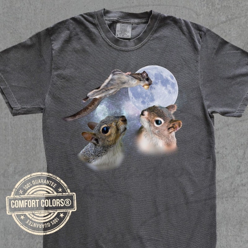 Squirrel T Shirt - Etsy