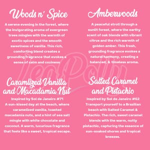 Bookish Themed Car Diffusers | Hanging Diffuser | Air Freshener | Car Accessories | Booktok ...