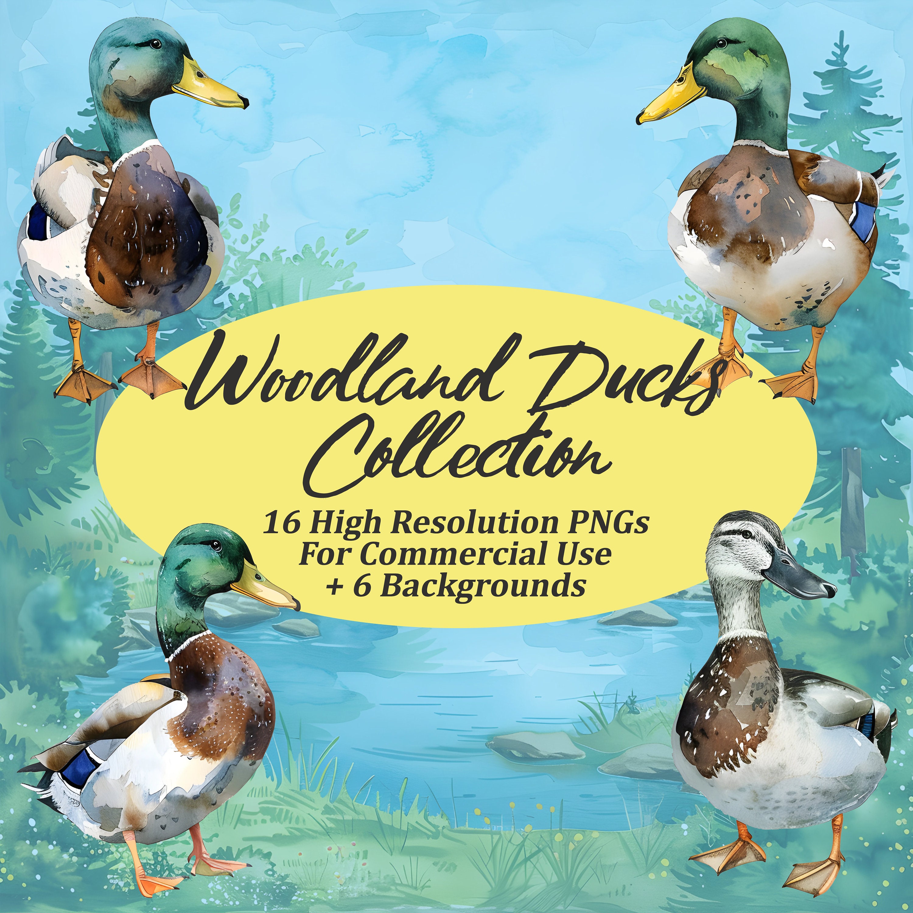Woodland Ducks Clipart, Watercolor Forest Animals, Wild Woodland Ducks ...