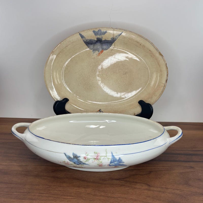 Antique Bluebird Plate - Etsy
