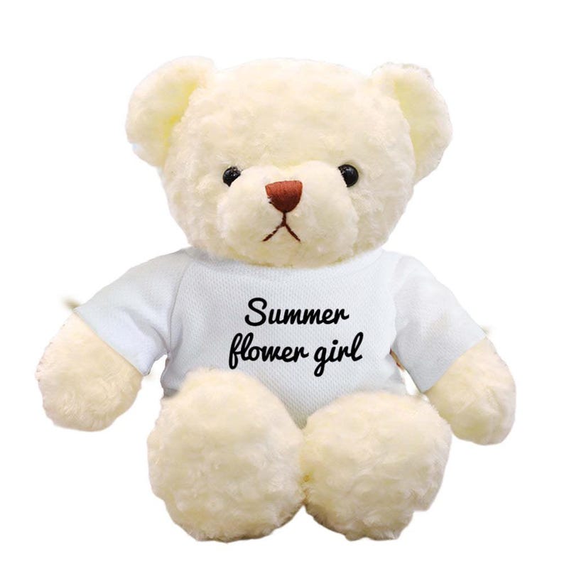 Personalized Teddy Bear Plush Toy, Custom Stitching, Gift for Baby ...