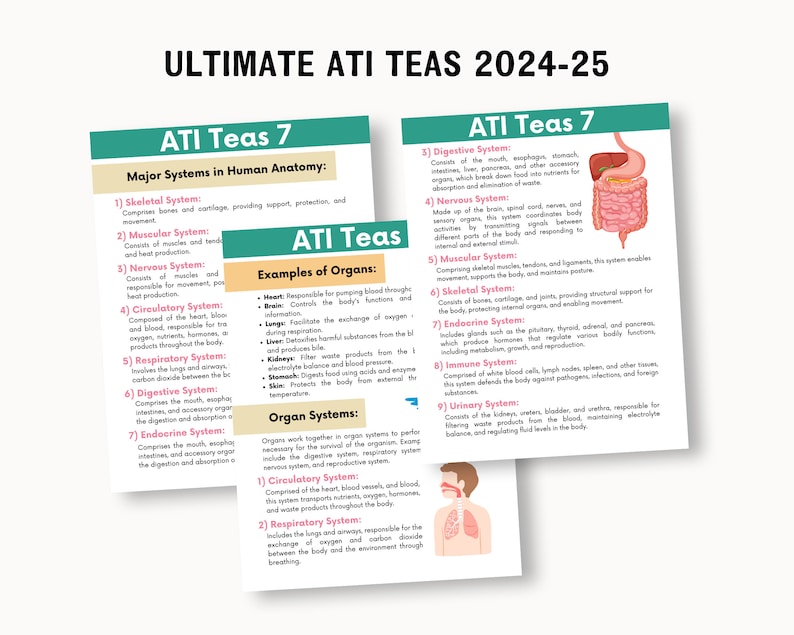 ATI TEAS 7 Study Guide 2023-2025: Colorful Illustrations (digital ...