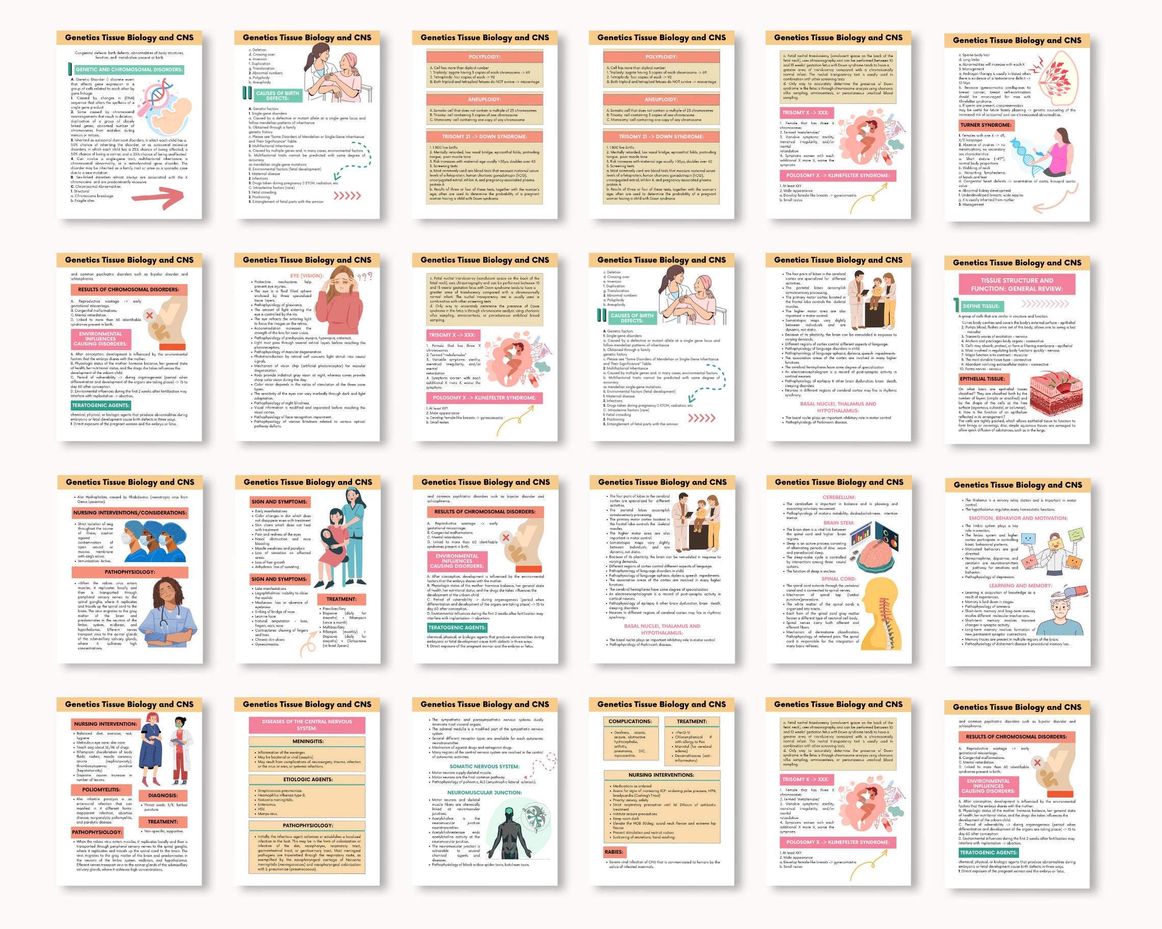 Genetics Tissue Biology and CNS Nursing Notes 2024, Nursing Study Guide ...