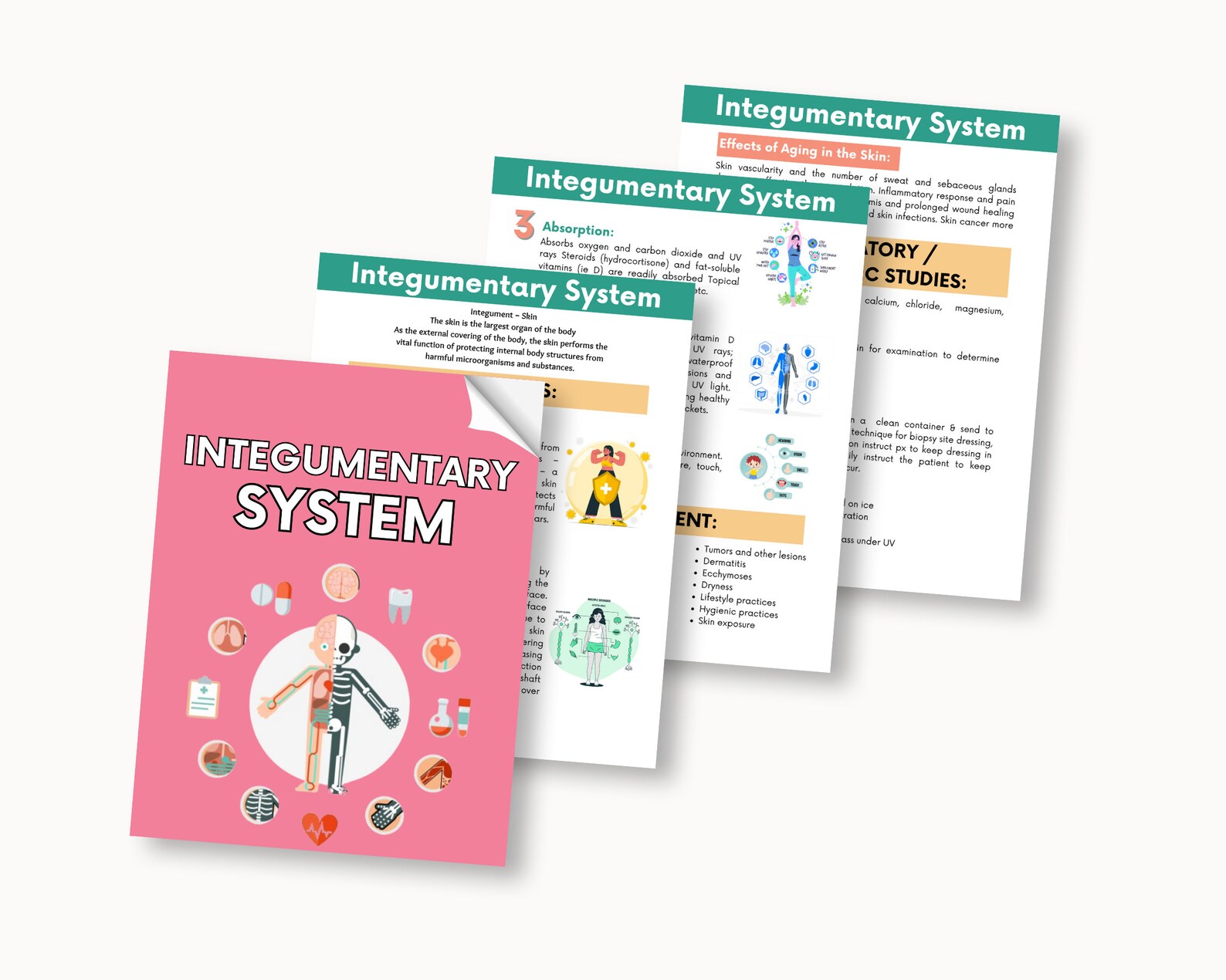 Ultimate Med-surg Integumentary System 2024-25, Nursing Study Guide ...
