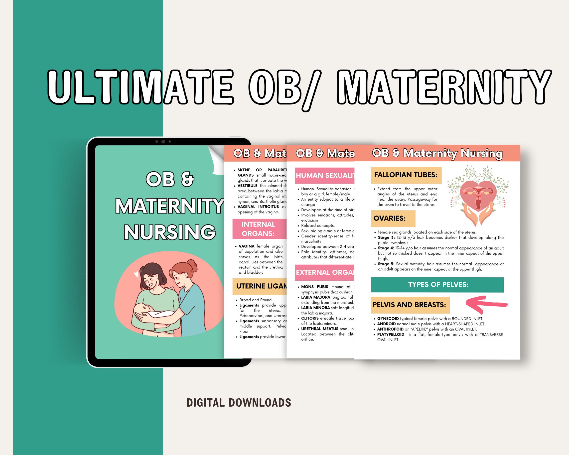 OB Maternity Nursing Study Guide: Labor & Delivery (digital Download ...