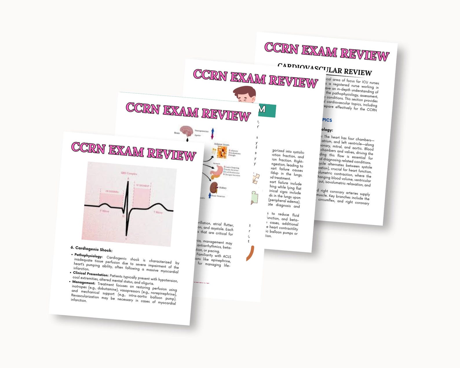 CCRN Exam Review: Study Guide & Cram Sheet, 2026 New (PDF) - Etsy