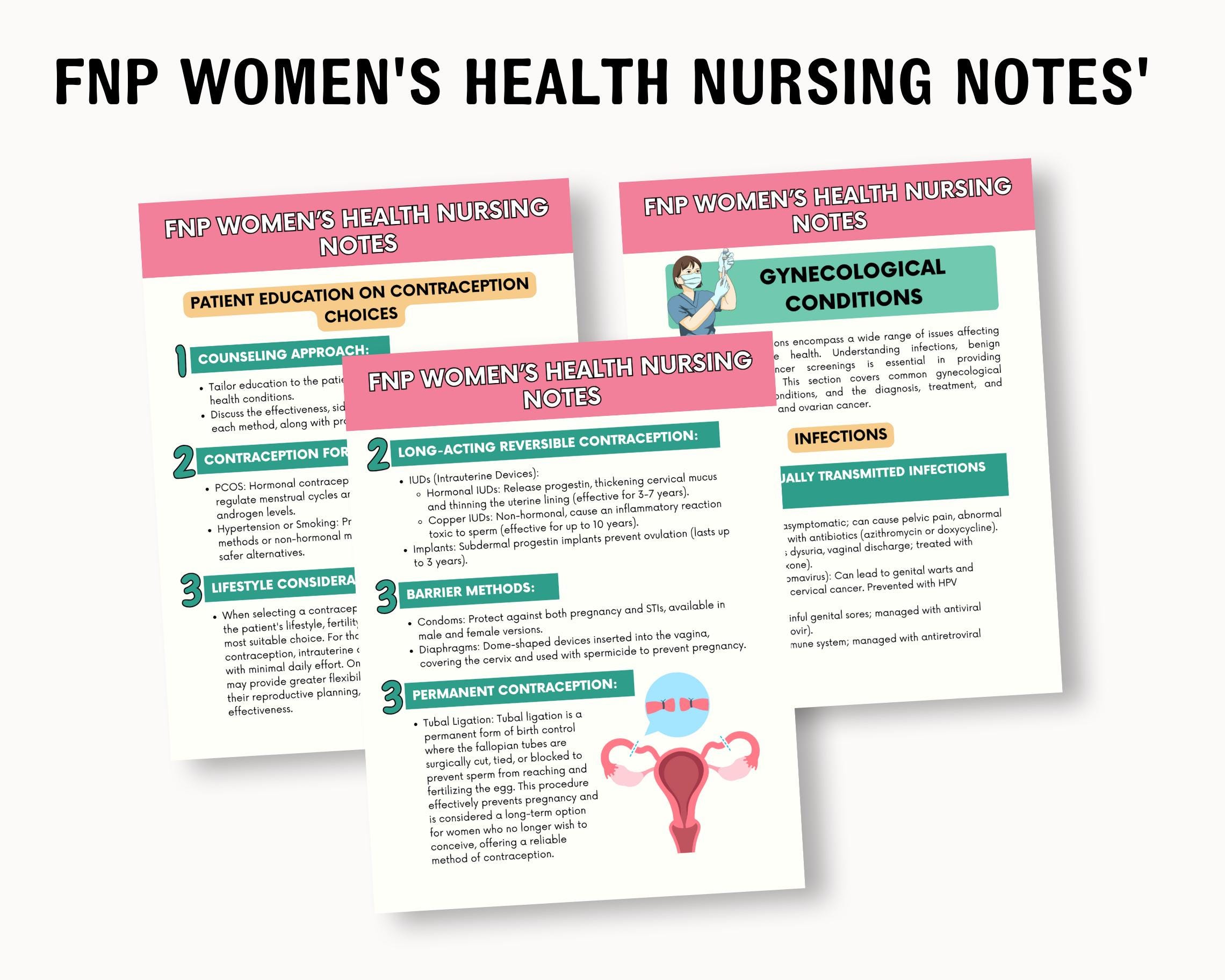 FNP Women's Health Nursing Notes: 2025 Study Guide (PDF) - Etsy