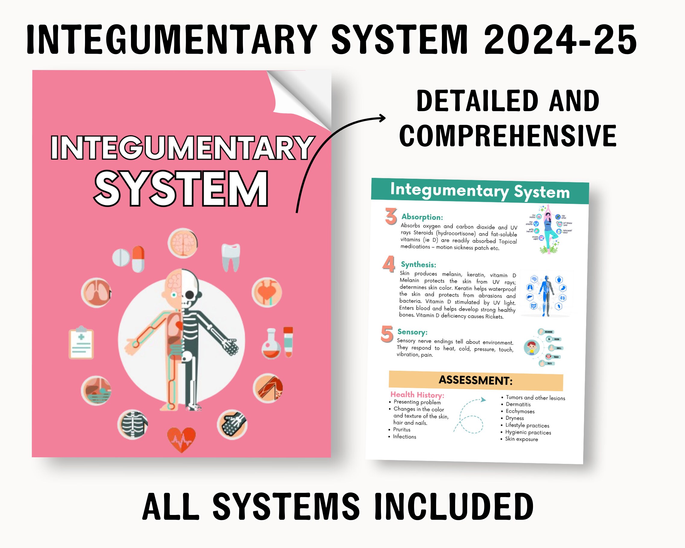 Ultimate Med-surg Integumentary System 2024-25, Nursing Study Guide ...