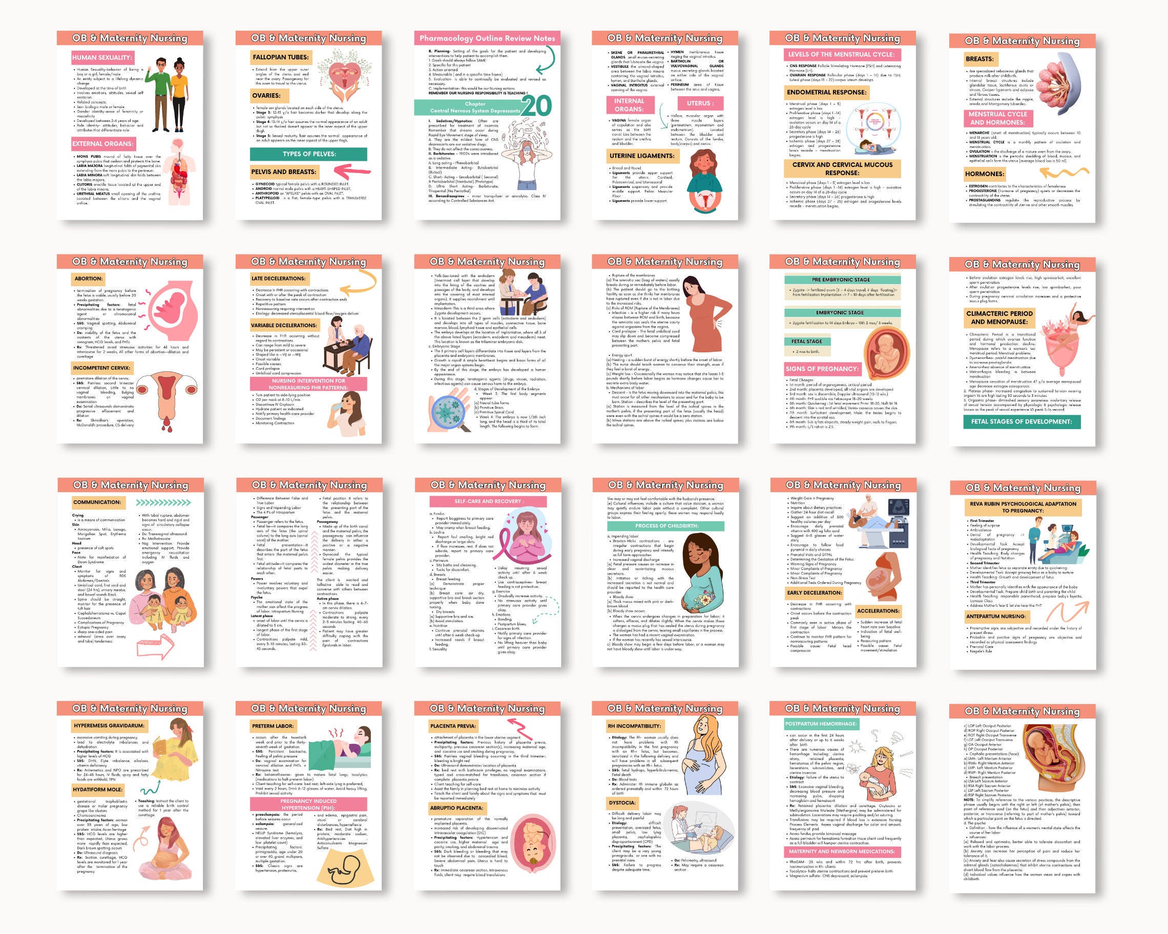 OB & Maternity Study Guide, Nursing Student Study Guide, Labor and ...