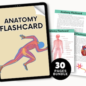 Anatomy Flashcards | 60+pages | Nursing School Notes | Anatomy Study ...