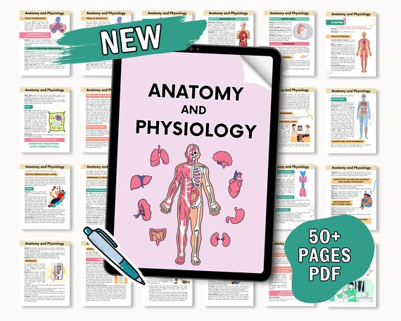 Study For Anatomy Anatomy & Physiology (CN 29): Passbooks Study Guide