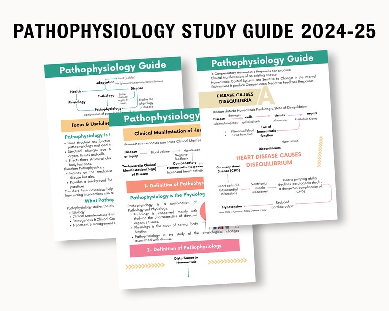 Pathophysiology Study Guide Bundle: Nursing School Notes (PDF & PNG) - Etsy