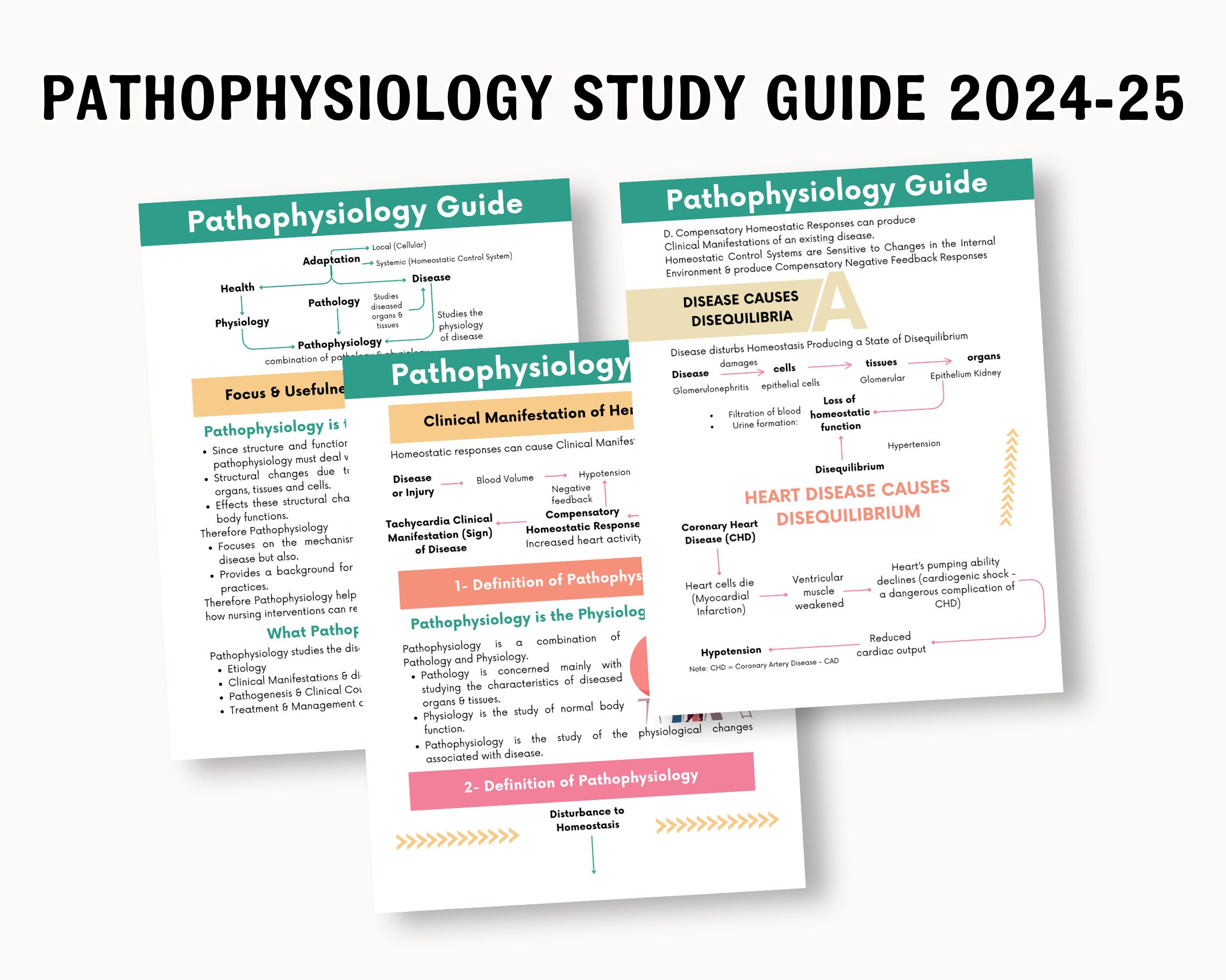 Pathophysiology Study Guide Bundle 70+ Pages, Pathophysiology Nursing ...
