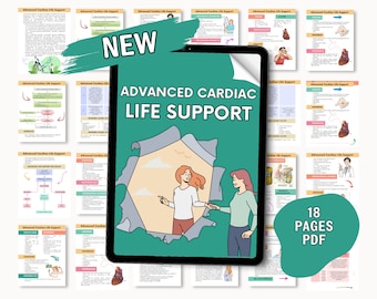 Cardiac Bundle Study Guide for Med Surg Including Pharmacology and EKG Interpretation ...