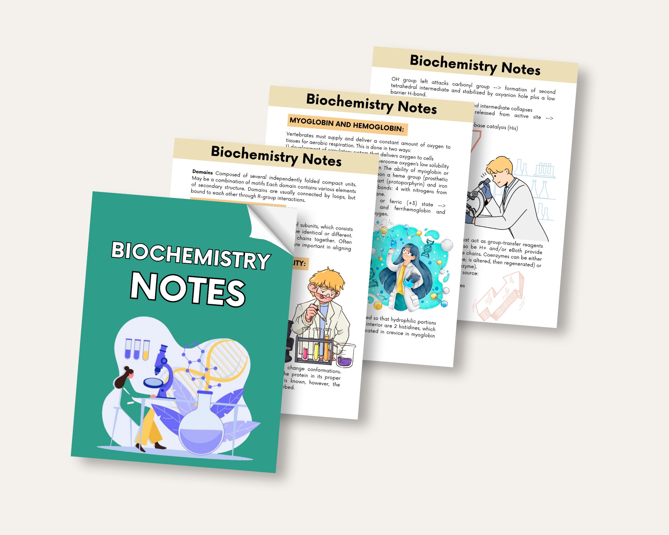 Biochemistry & Organic Chemistry Notes: MCAT Study Guide (PDF) - Etsy