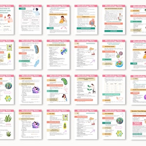 Microbiology Masterclass Notes: Medical Student Cheat Sheet (digital ...
