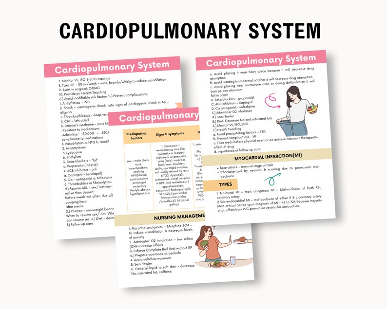Cardiovascular System A & P Study Guide Nursing Notes the Heart Anatomy ...