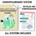 Cardiovascular System A & P Study Guide Nursing Notes the Heart Anatomy ...