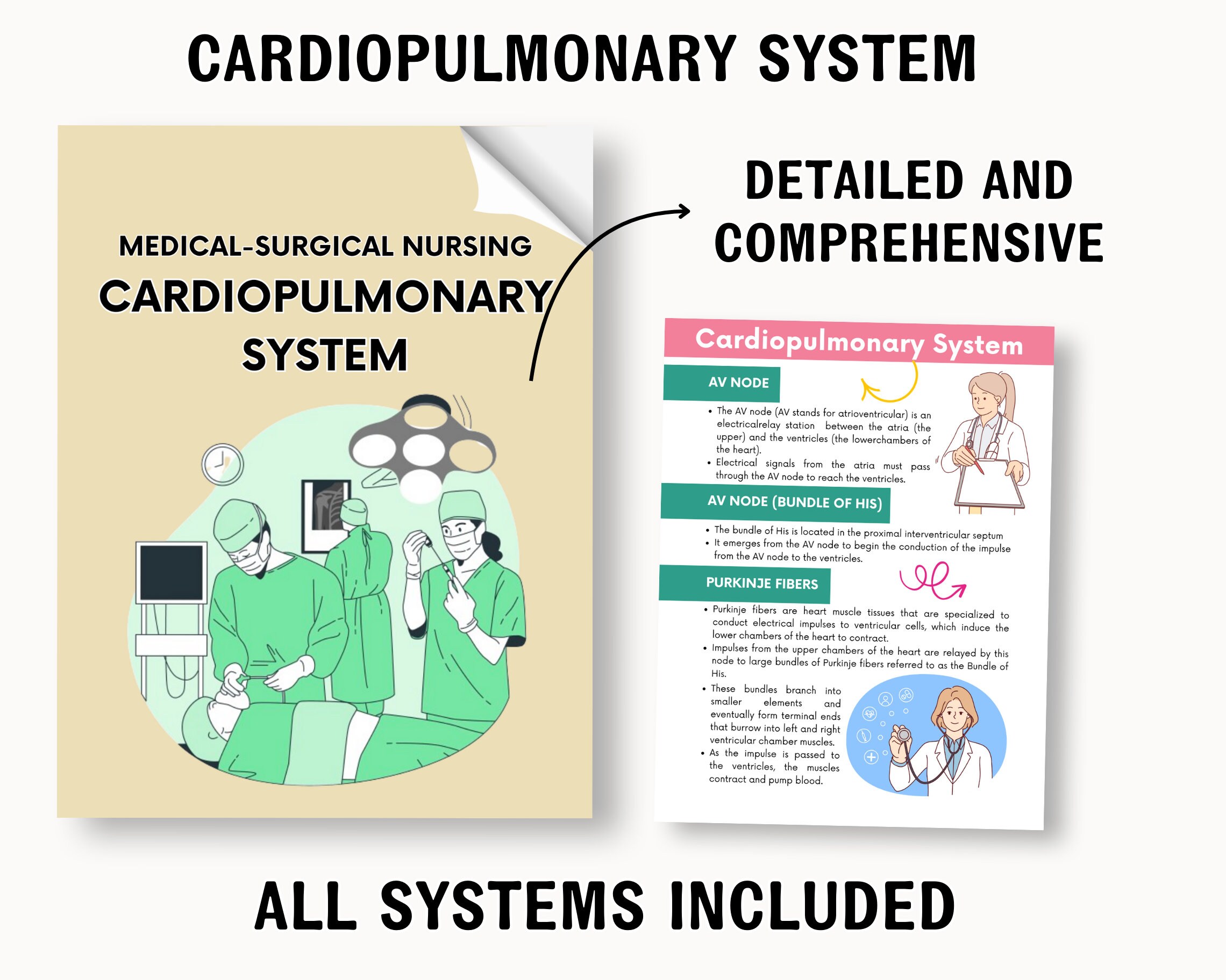 Cardiovascular System A & P Study Guide Nursing Notes the Heart Anatomy ...
