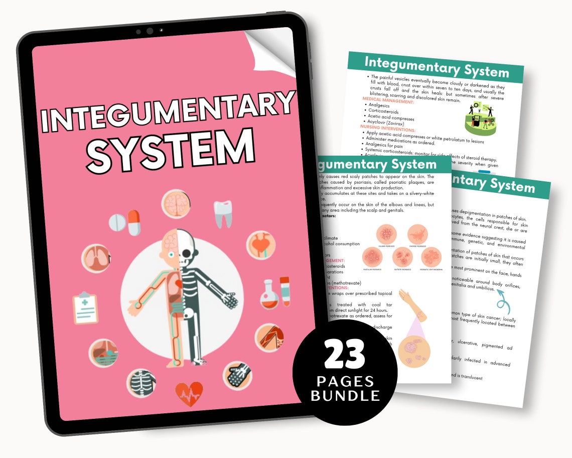 Ultimate Med-surg Integumentary System 2024-25, Nursing Study Guide ...