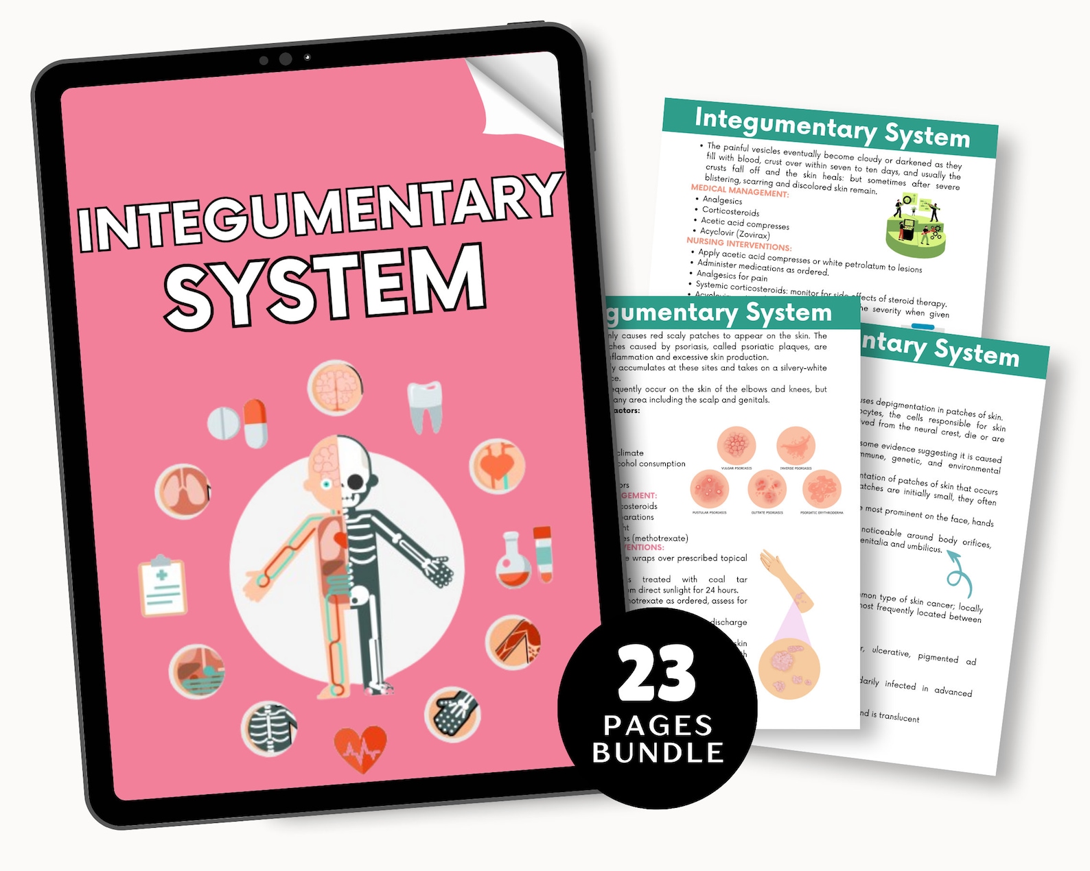 Ultimate Med-surg Integumentary System 2024-25, Nursing Study Guide ...