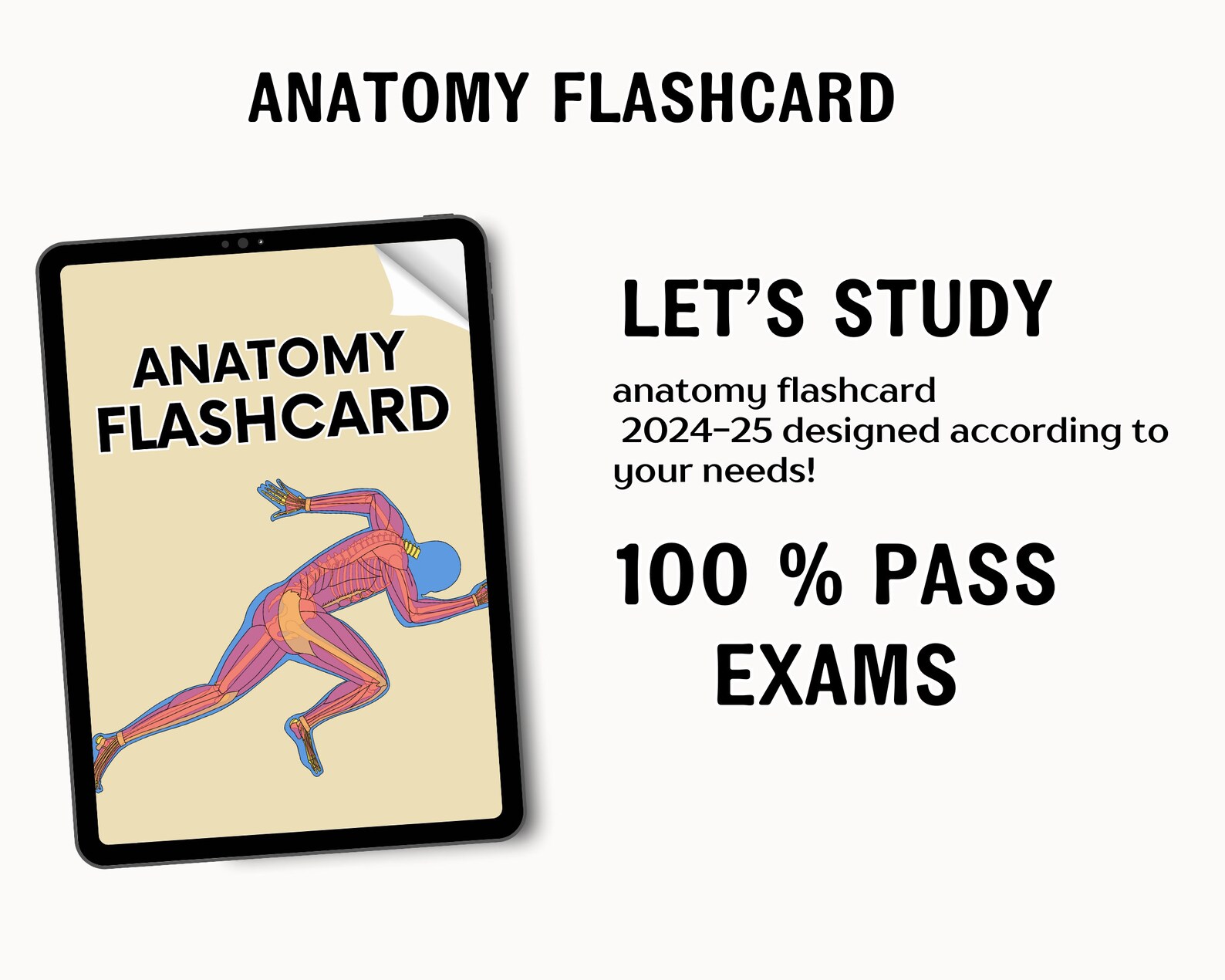 Anatomy Flashcards | 60+pages | Nursing School Notes | Anatomy Study ...