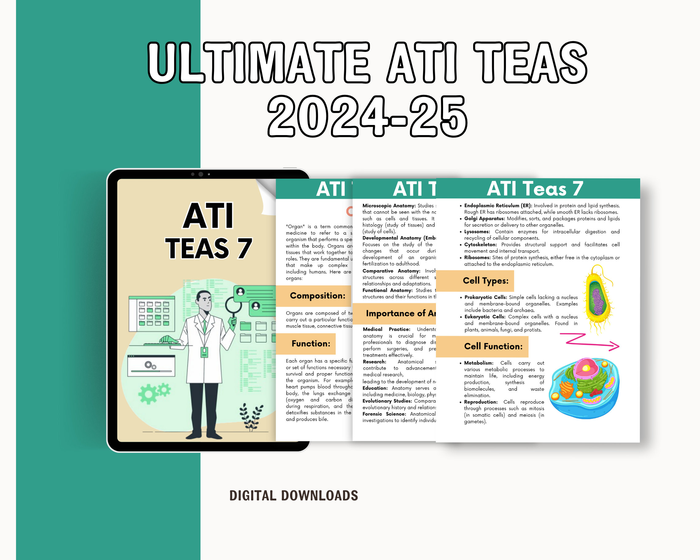 ATI TEAS 7 Study Guide 2023-2025: Colorful Illustrations (digital ...