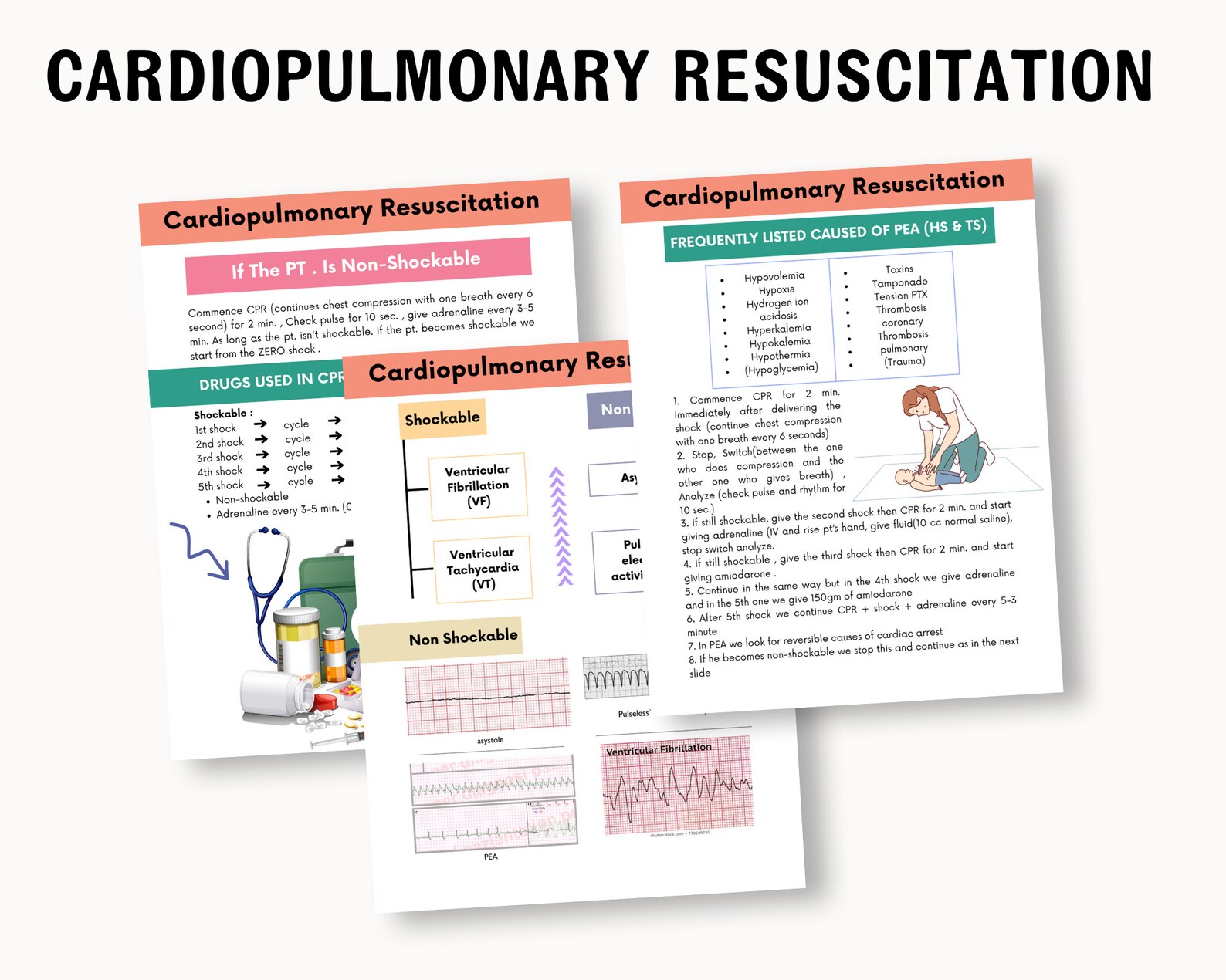 Cardiopulmonary Resuscitation | Cardiology | A&P Guide | 13 Pages ...