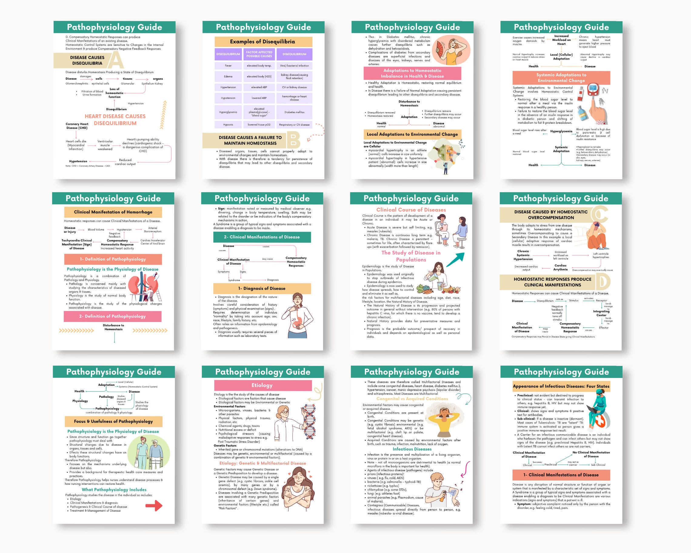 Pathophysiology Study Guide Bundle 70+ Pages, Pathophysiology Nursing ...