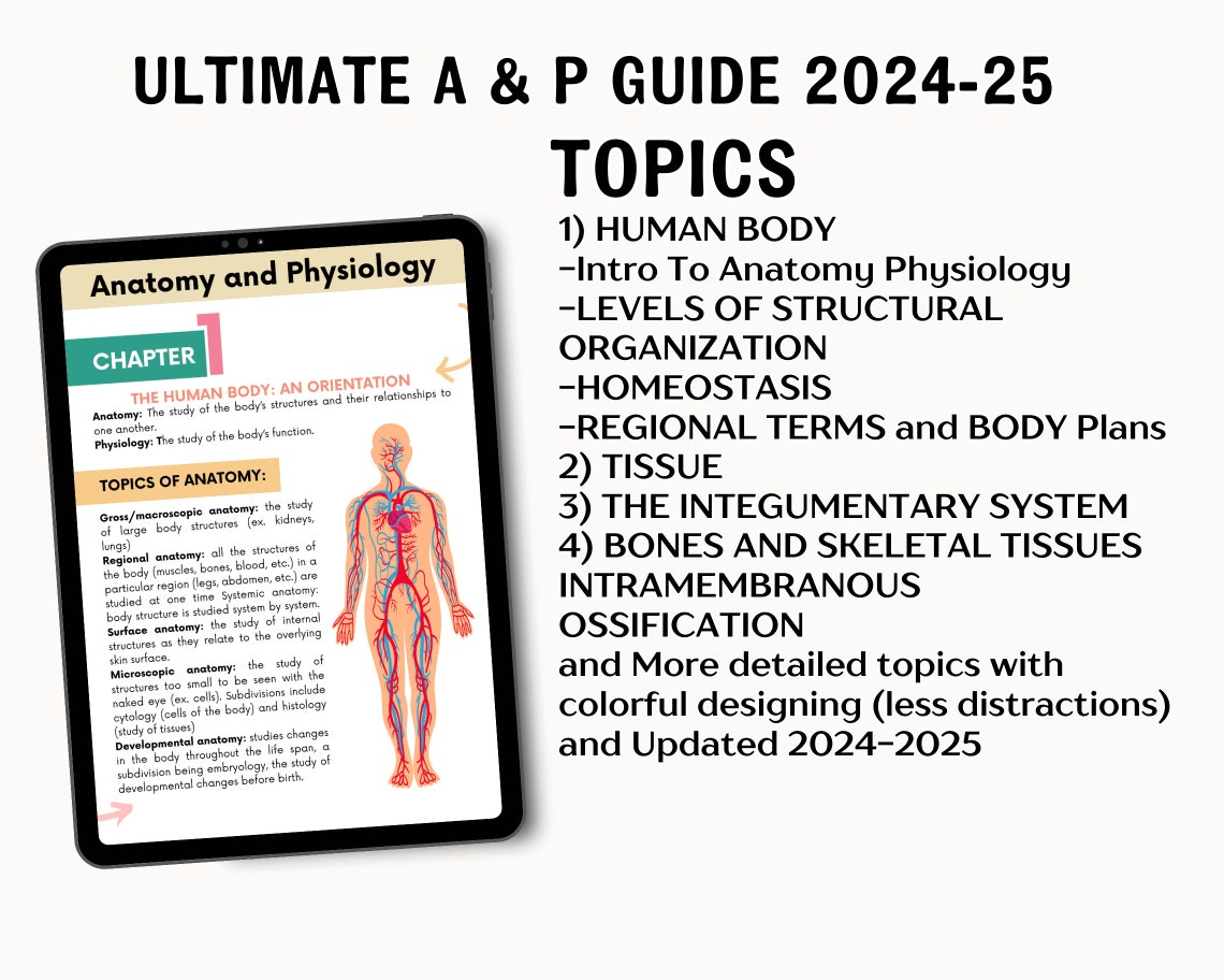 Anatomy Physiology Study Guide 2024, Physiology Notes, Anatomy Notes ...