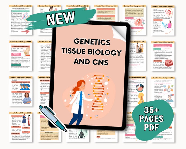 Genetics Tissue Biology and CNS Nursing Notes 2024, Nursing Study Guide ...
