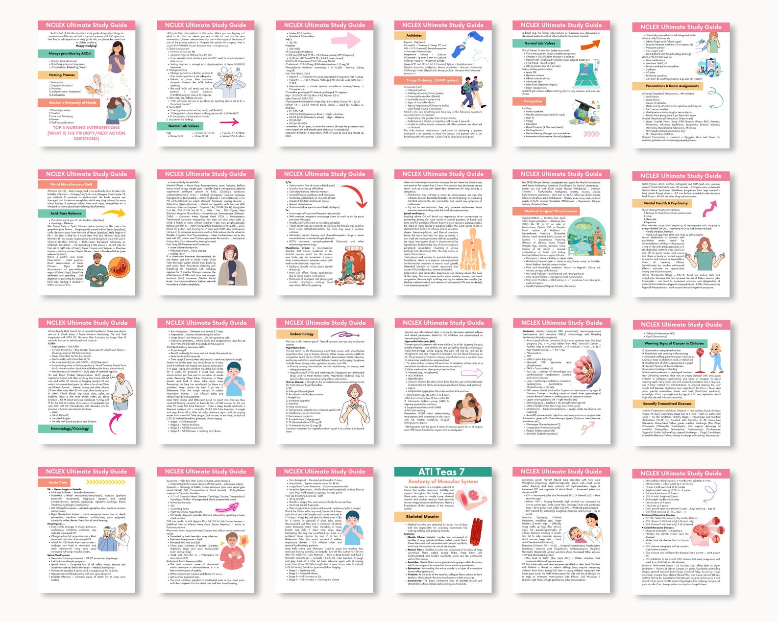 2024 Next Gen NCLEX Study Guide, Ultimate NCLEX Study Guide for the New ...