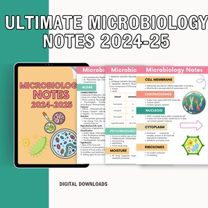 Microbiology Masterclass Notes: Medical Student Cheat Sheet (digital ...