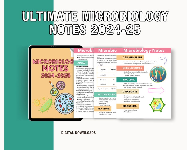 Microbiology Masterclass Notes: Medical Student Cheat Sheet (digital ...
