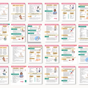Cardiovascular System A & P Study Guide | Nursing Notes | the Heart ...