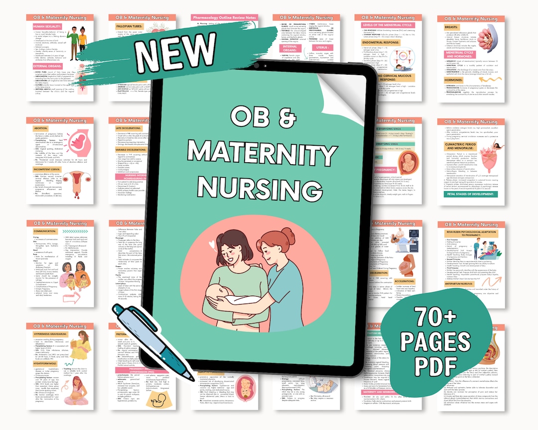 OB & Maternity Study Guide, Nursing Student Study Guide, Labor and ...