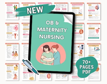 OB & Maternity Study Guide Nursing Student Study Guide Labor and ...