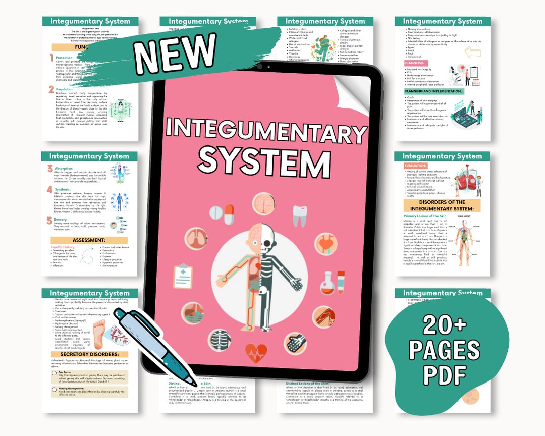 Ultimate Med-surg Integumentary System 2024-25, Nursing Study Guide ...