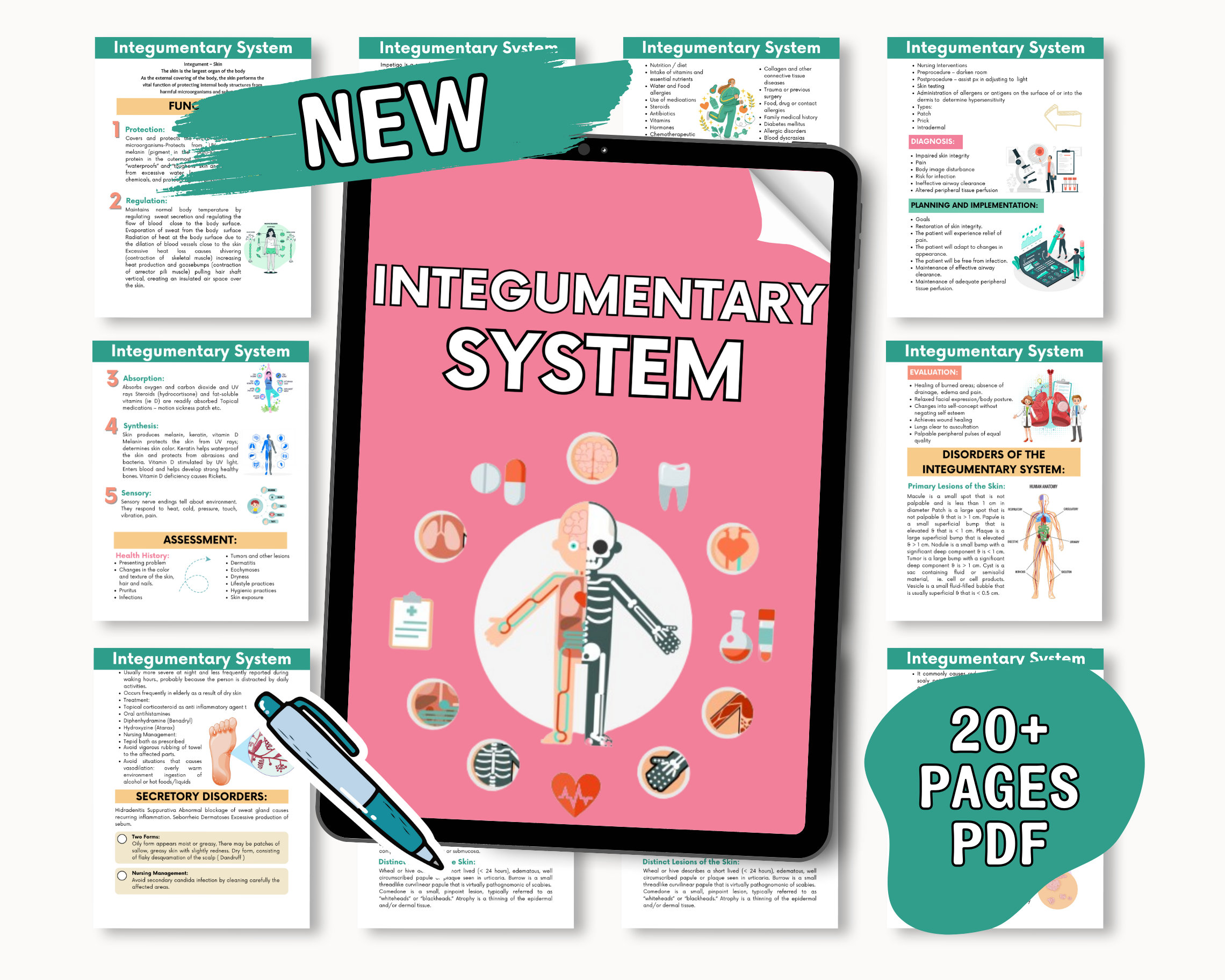 Ultimate Med-surg Integumentary System 2024-25, Nursing Study Guide ...