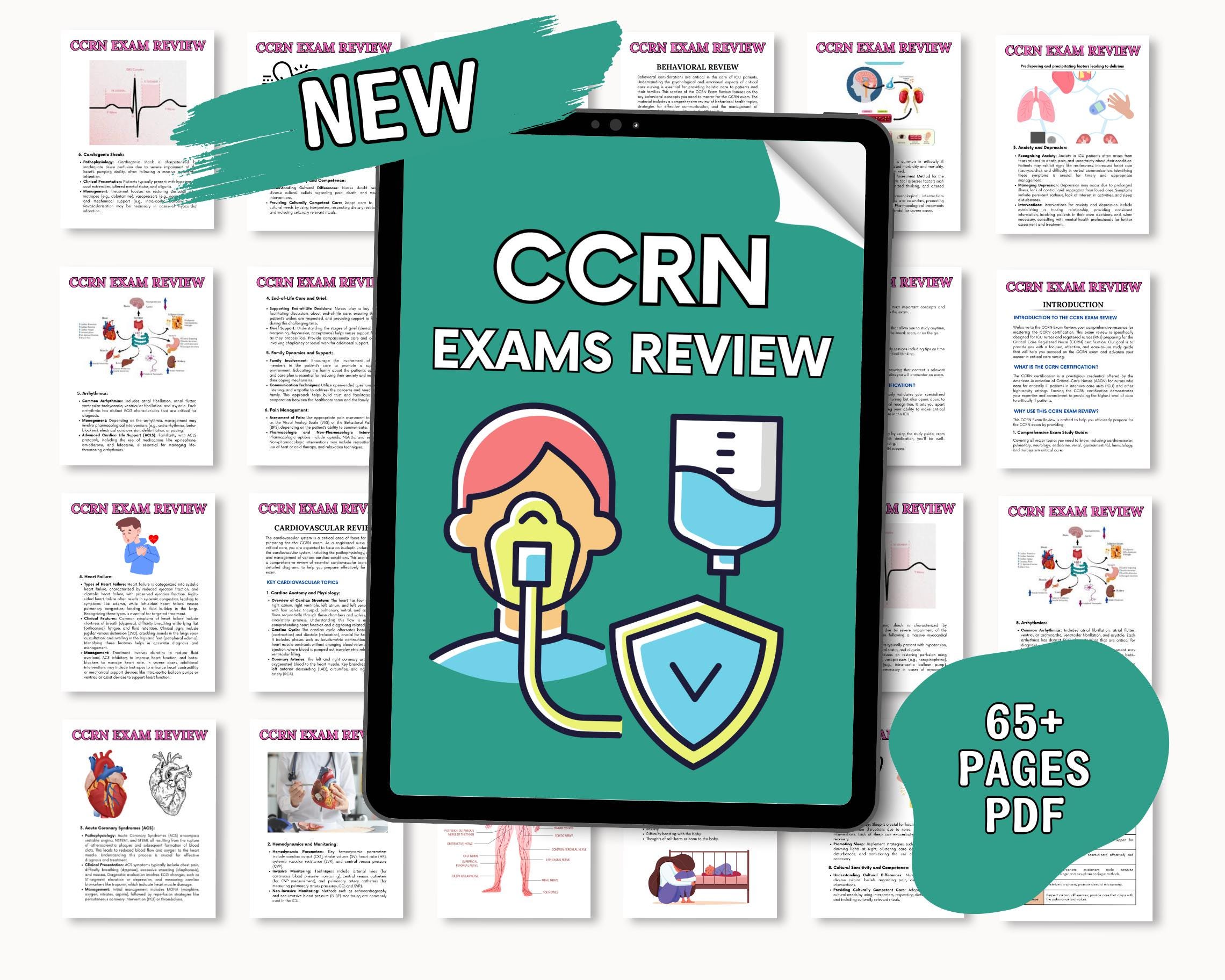 CCRN Exam Review: Study Guide & Cram Sheet, 2026 New (PDF) - Etsy