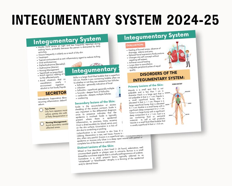 Ultimate Med-surg Integumentary System 2024-25, Nursing Study Guide ...