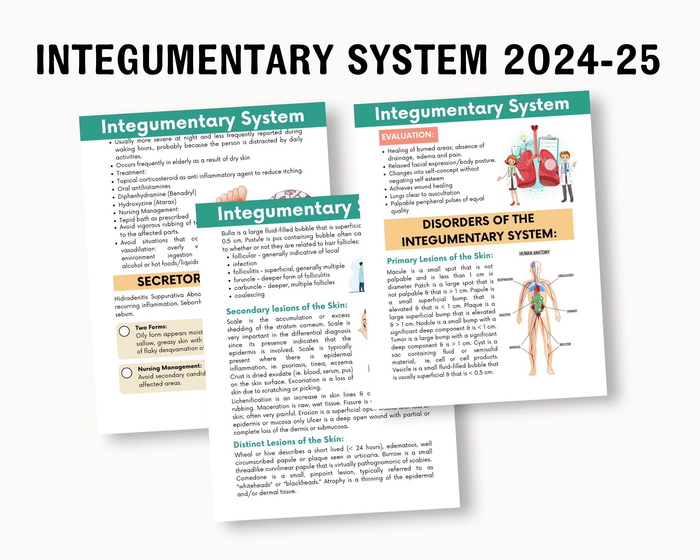 Ultimate Med-surg Integumentary System 2024-25, Nursing Study Guide ...