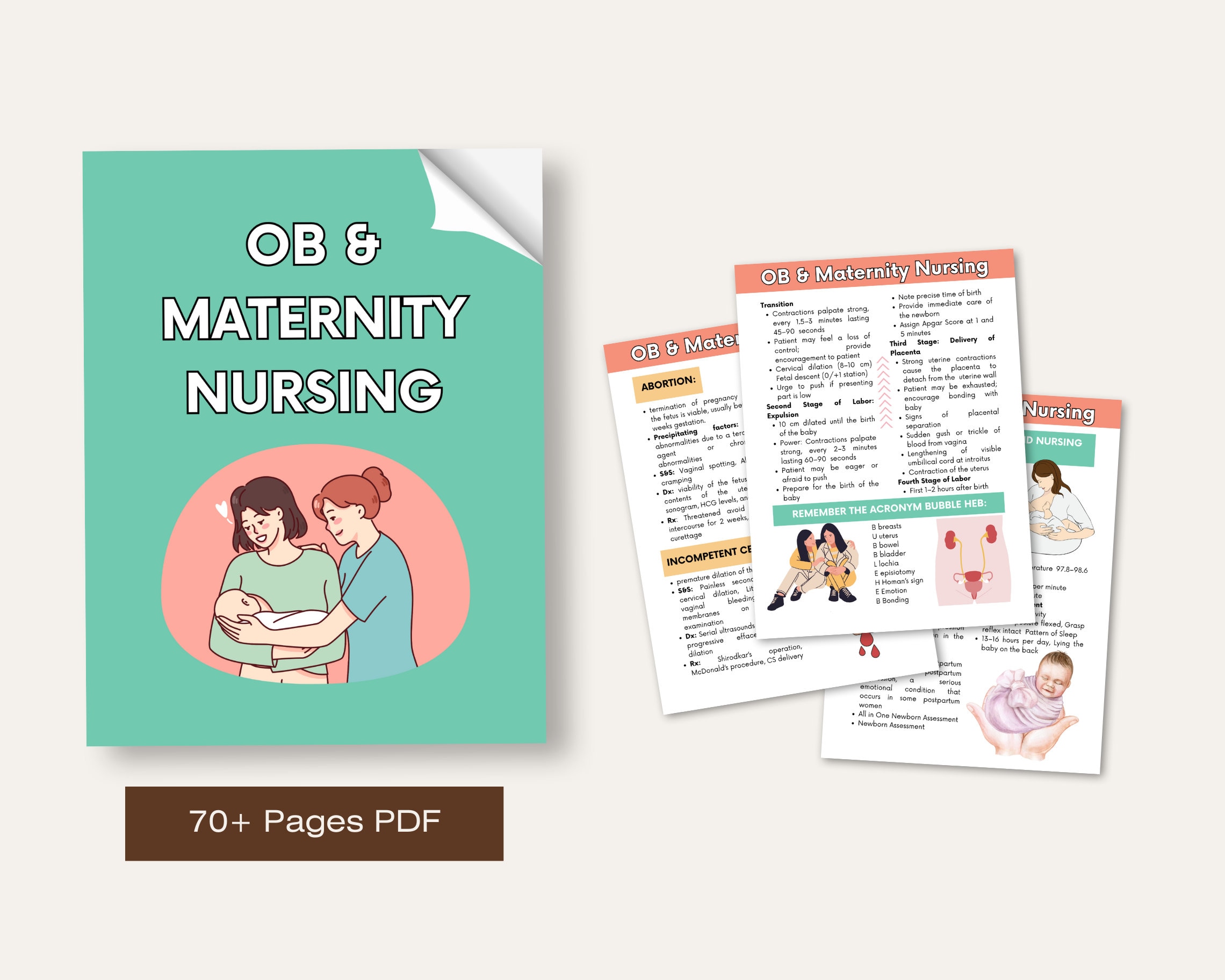 OB Maternity Nursing Study Guide: Labor & Delivery (digital Download ...