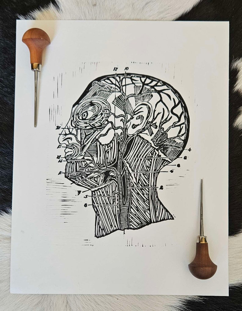 Muscles of the Face L Linocut Print - Etsy Australia