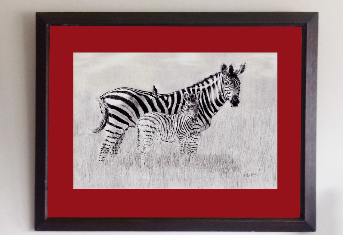 Zebra Mare and Foal Wildlife Art Print - Graphite Fine Art - Etsy