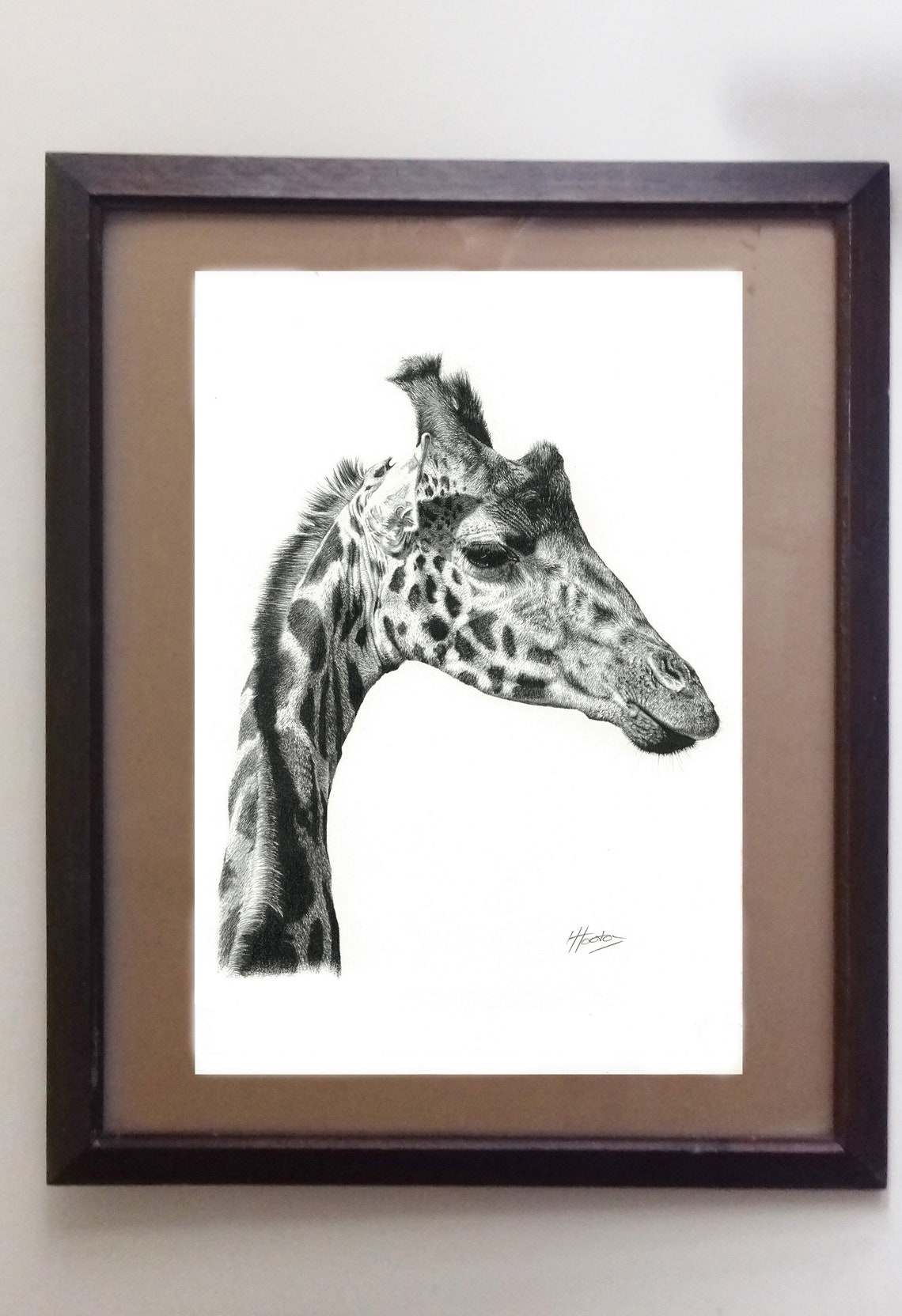 Giraffe Wildlife Art Print - Graphite Fine Art - Etsy