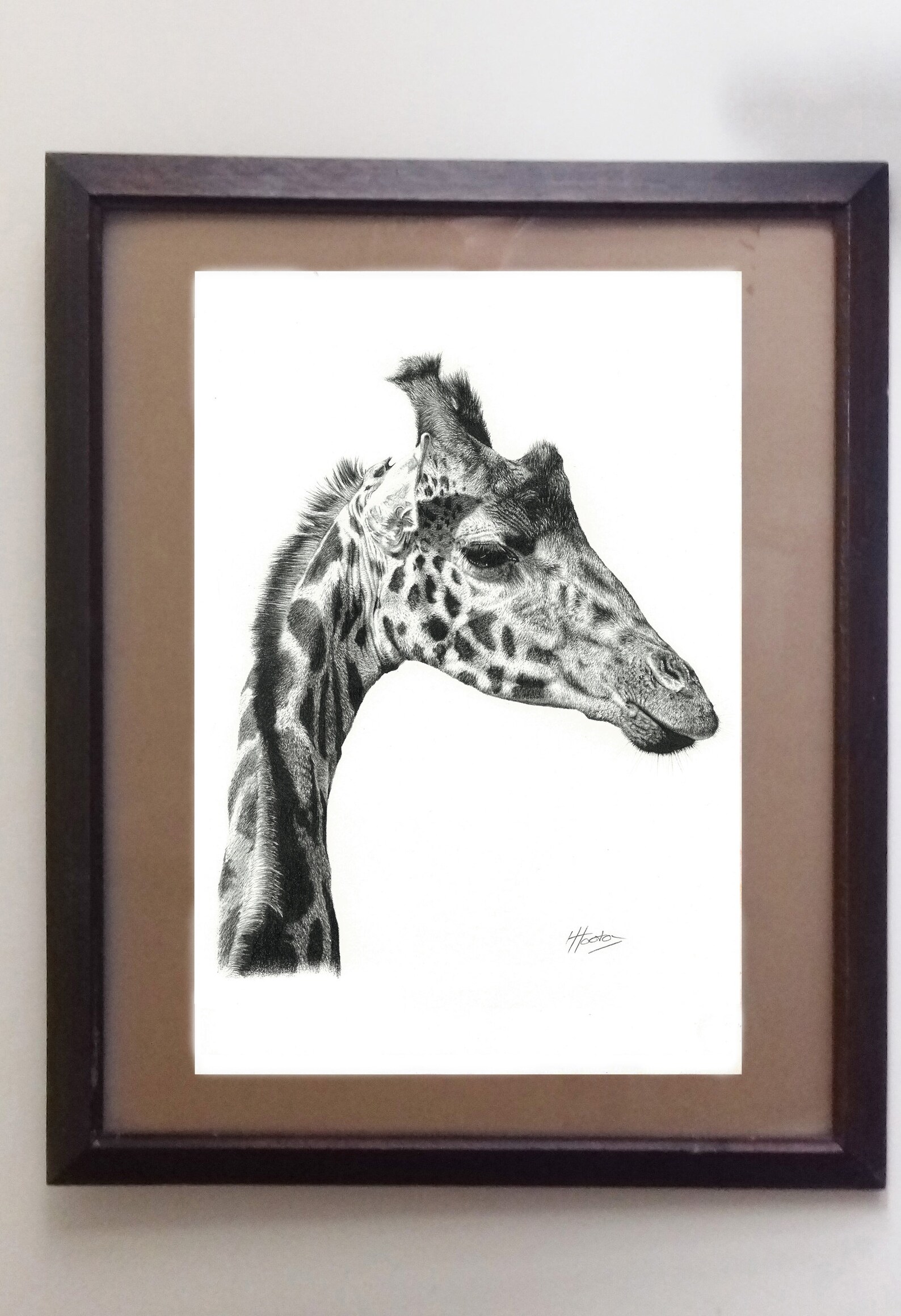 Giraffe Wildlife Art Print - Graphite Fine Art - Etsy