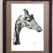 Giraffe Wildlife Art Print - Graphite Fine Art - Etsy